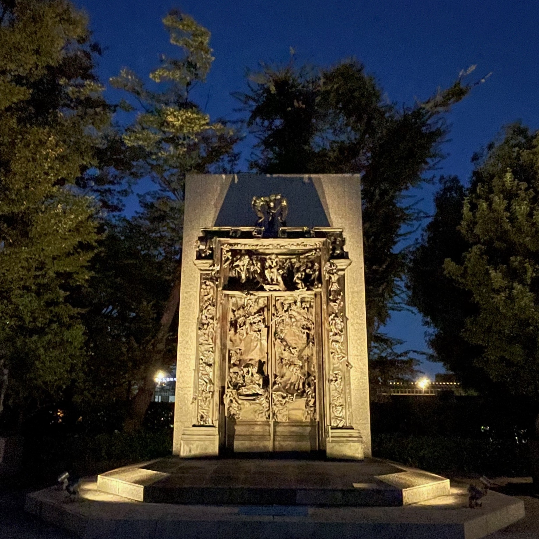 就活とキャリアパス | HCCジャパン合同会社